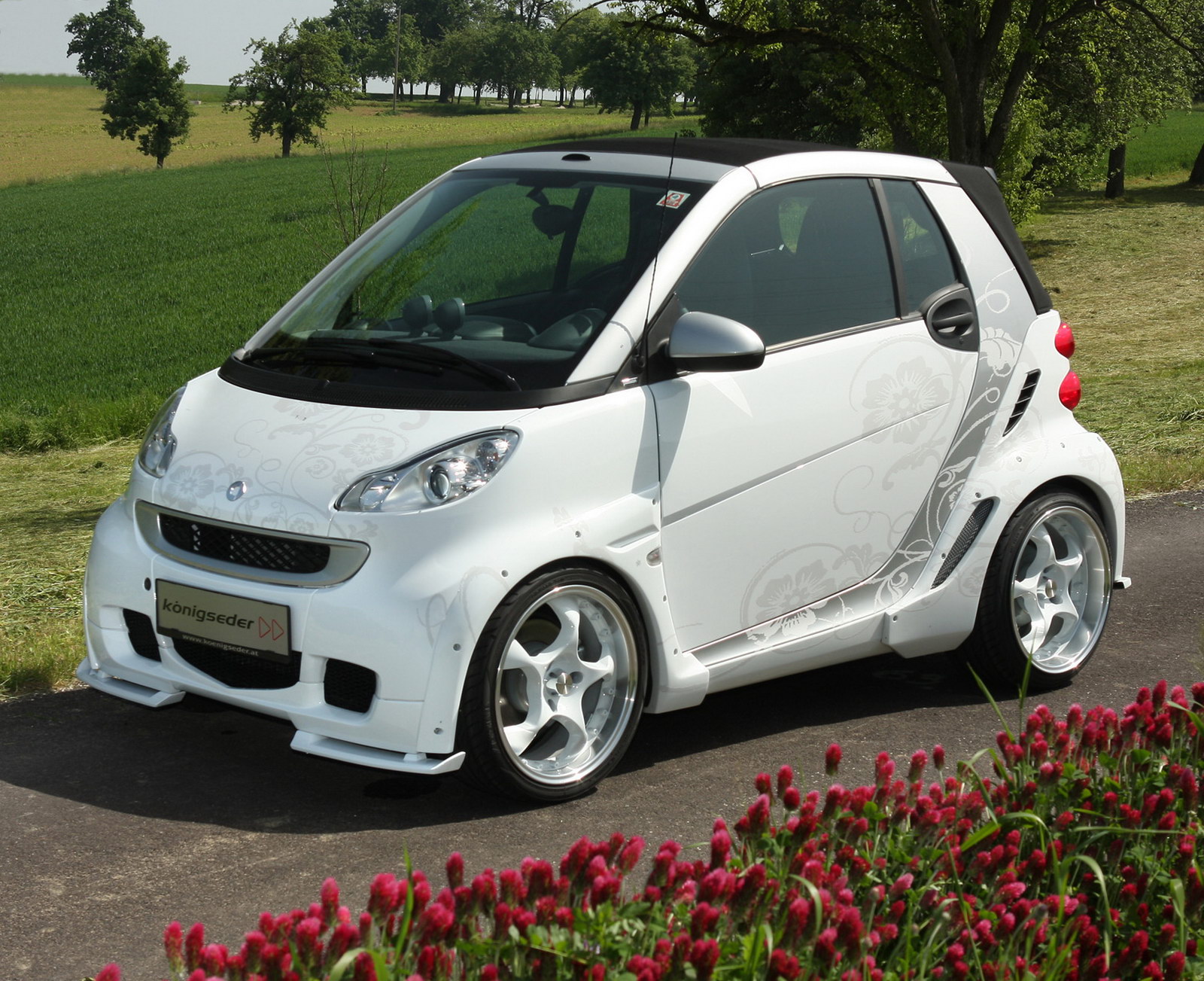 TopWorldAuto >> Photos of Smart ForTwo - photo galleries