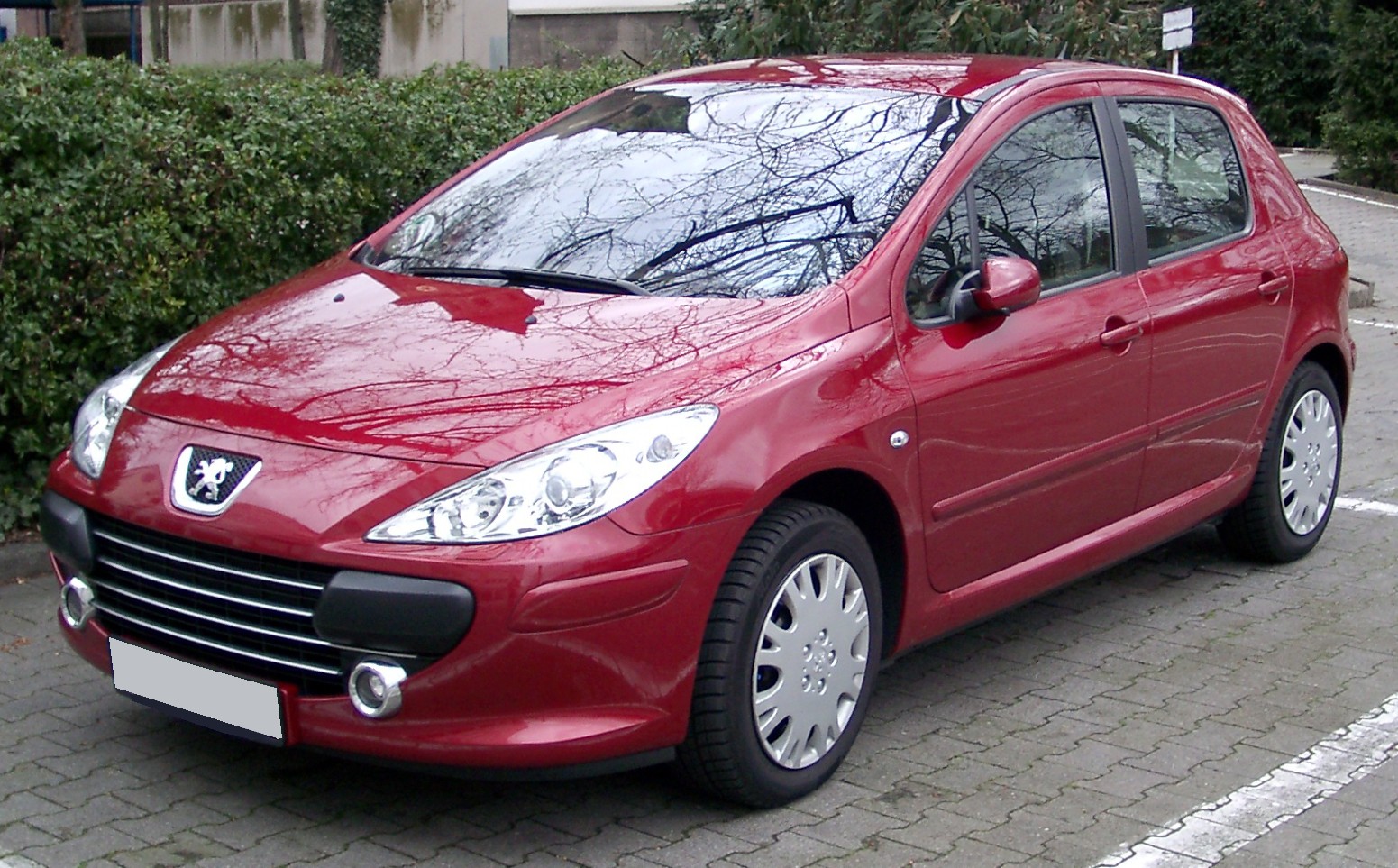 topworldauto-photos-of-peugeot-307-photo-galleries