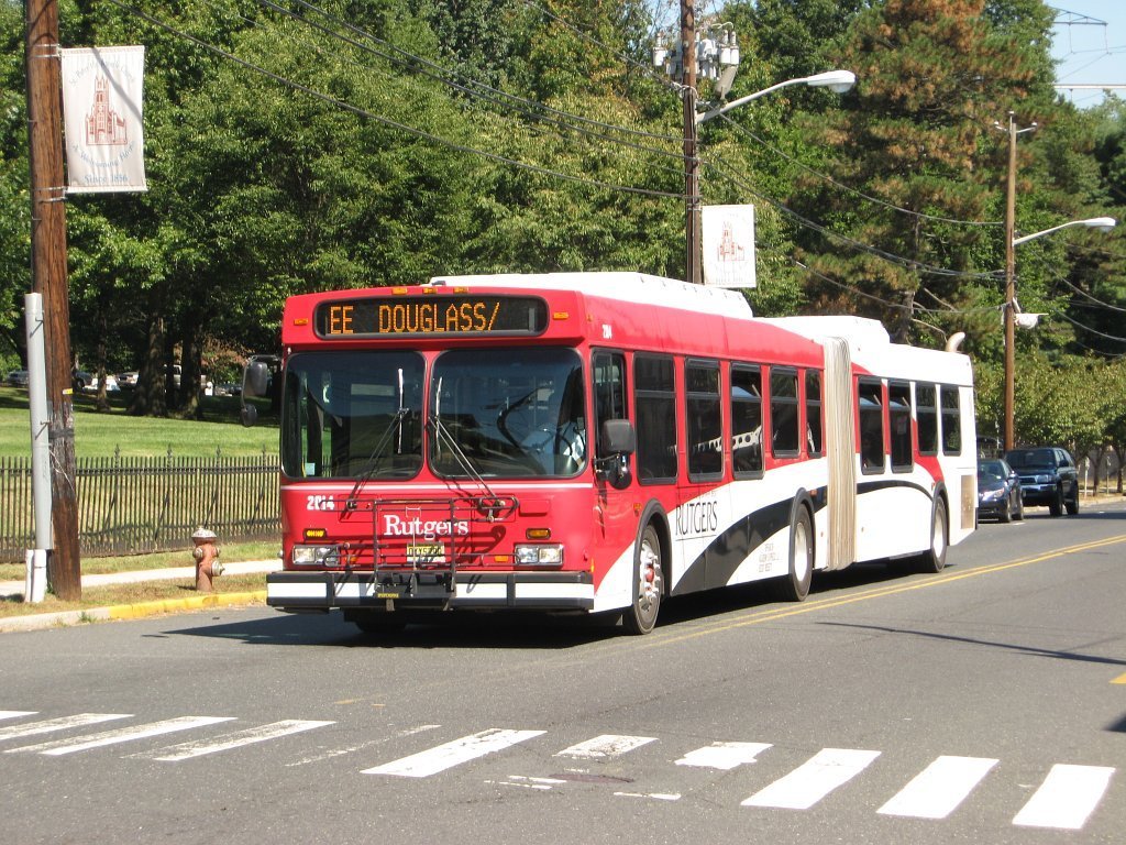 TopWorldAuto >> Photos of New Flyer D60LF - photo galleries