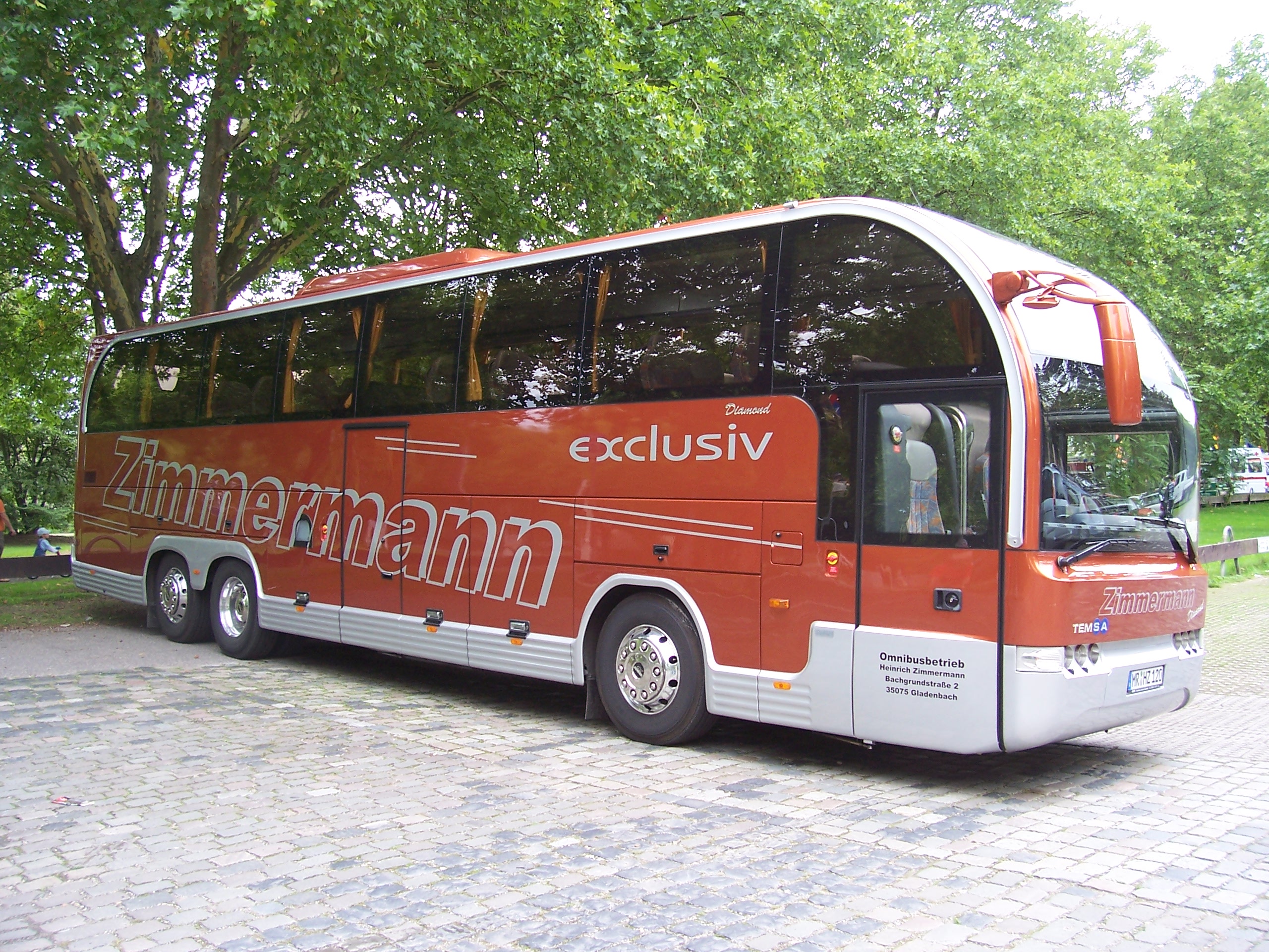 TopWorldAuto >> Photos of TEMSA DIAMOND - photo galleries