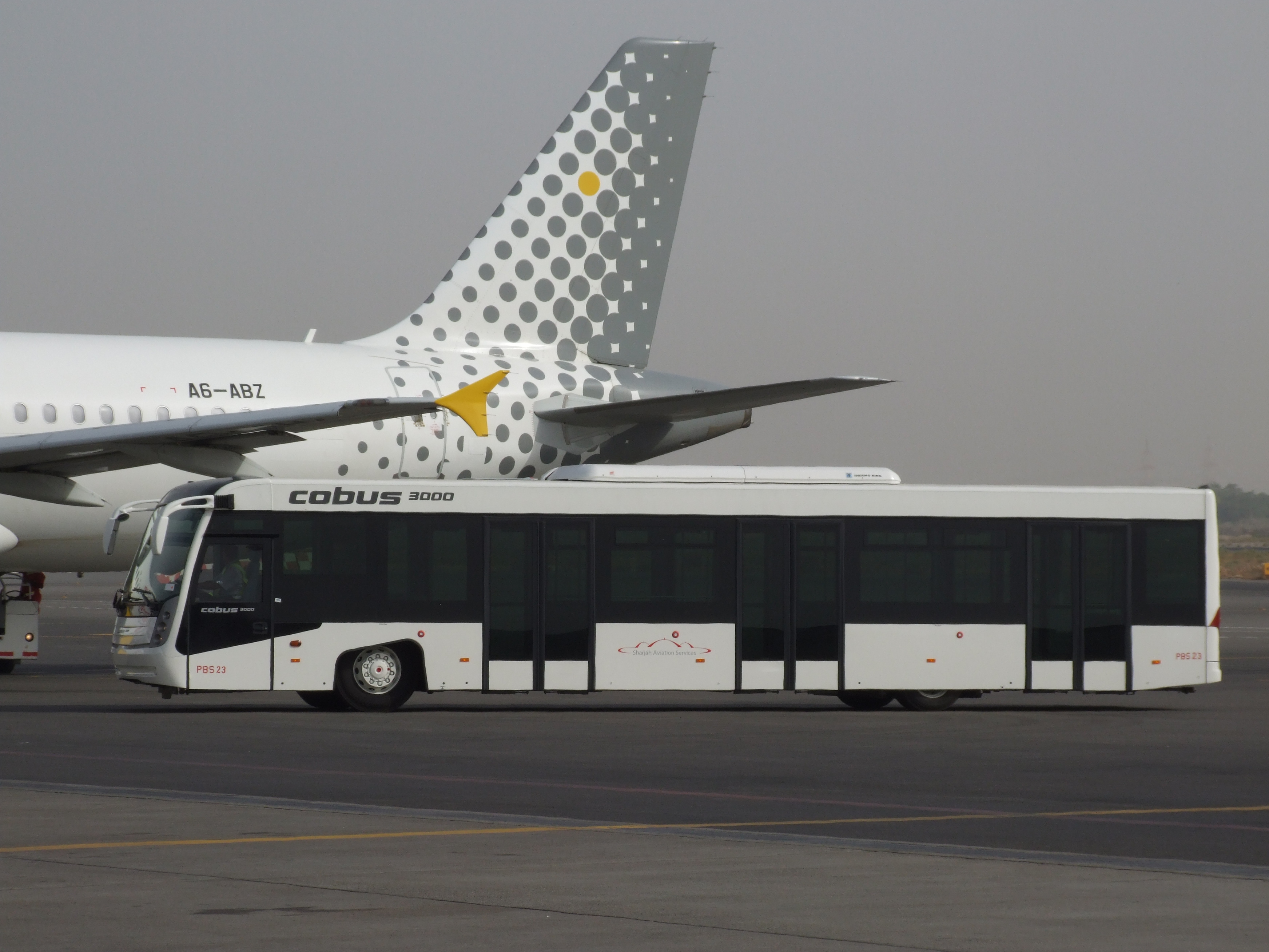 TopWorldAuto >> Photos of Cobus 3000 - photo galleries