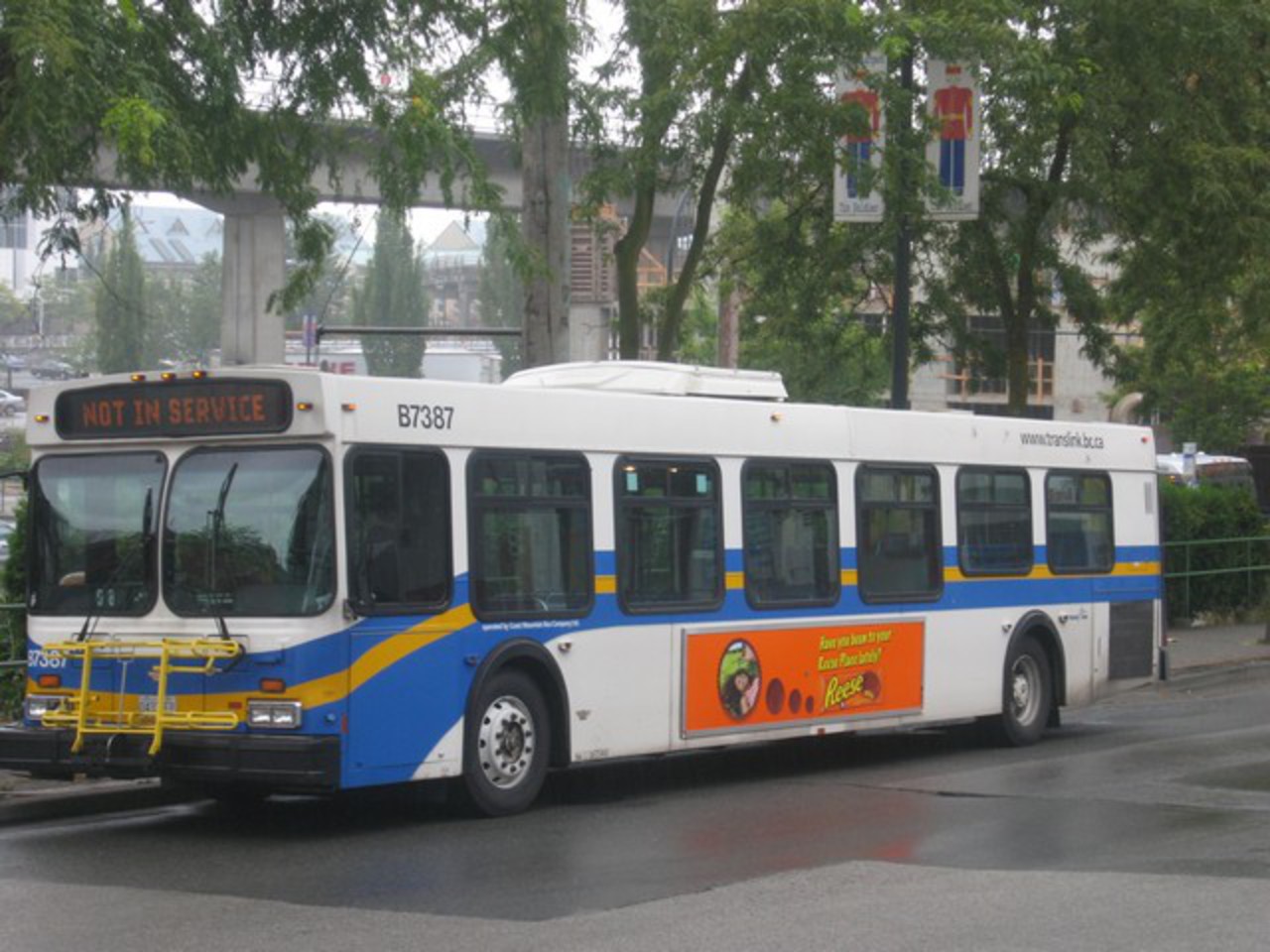 TopWorldAuto >> Photos of New Flyer D40HF - photo galleries