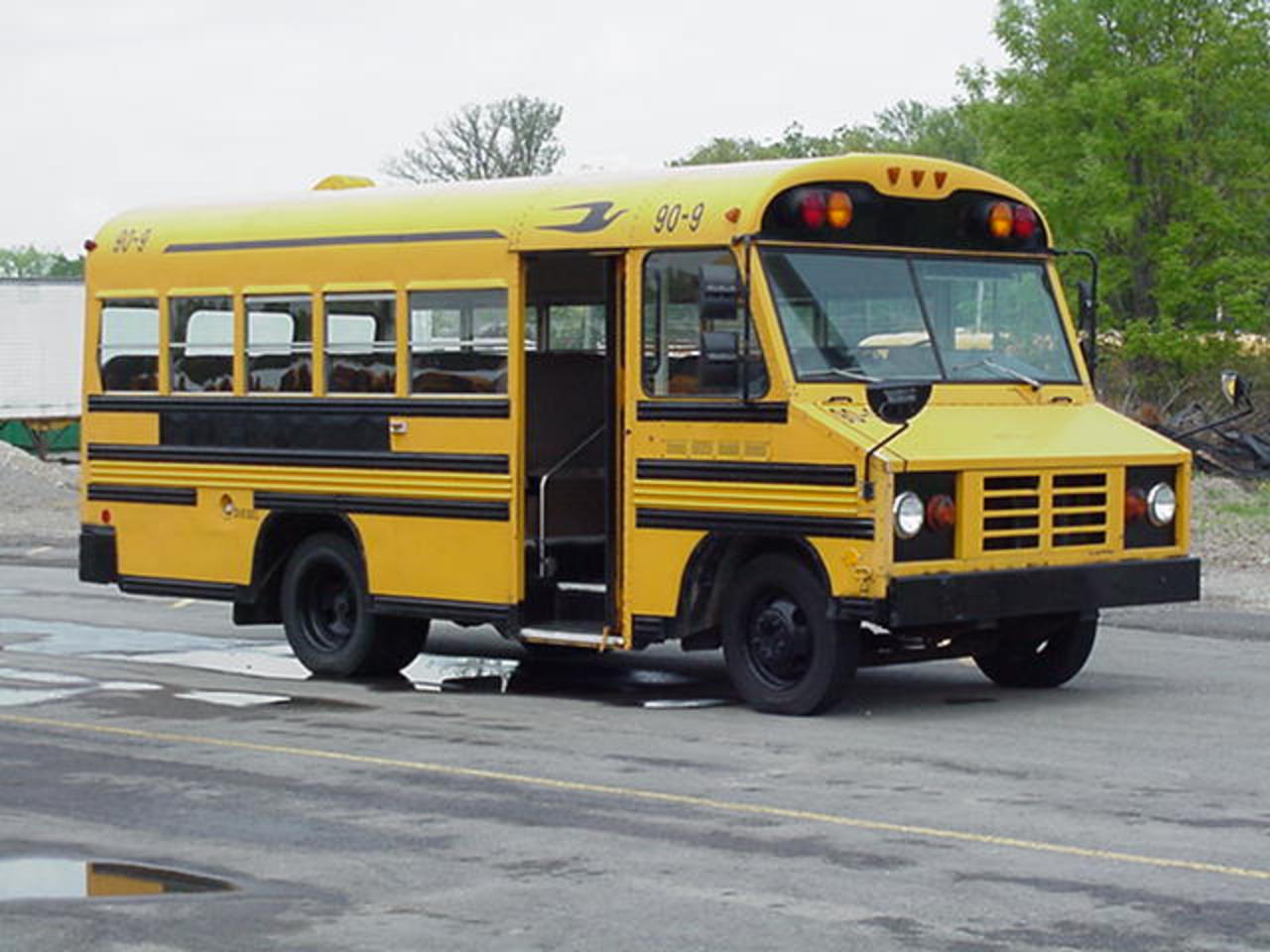 TopWorldAuto >> Photos of Blue Bird Mini Bird - photo galleries