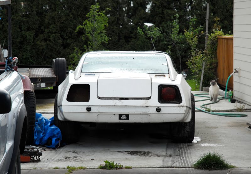 TopWorldAuto >> Photos of Bradley GT II - photo galleries