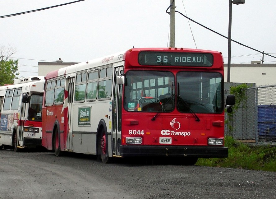 TopWorldAuto >> Photos of New Flyer D40HF - photo galleries