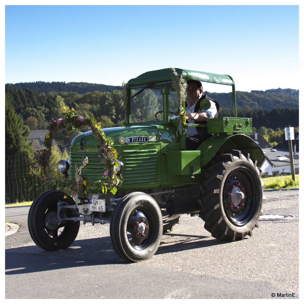 TopWorldAuto >> Photos of Steyr 180 - photo galleries