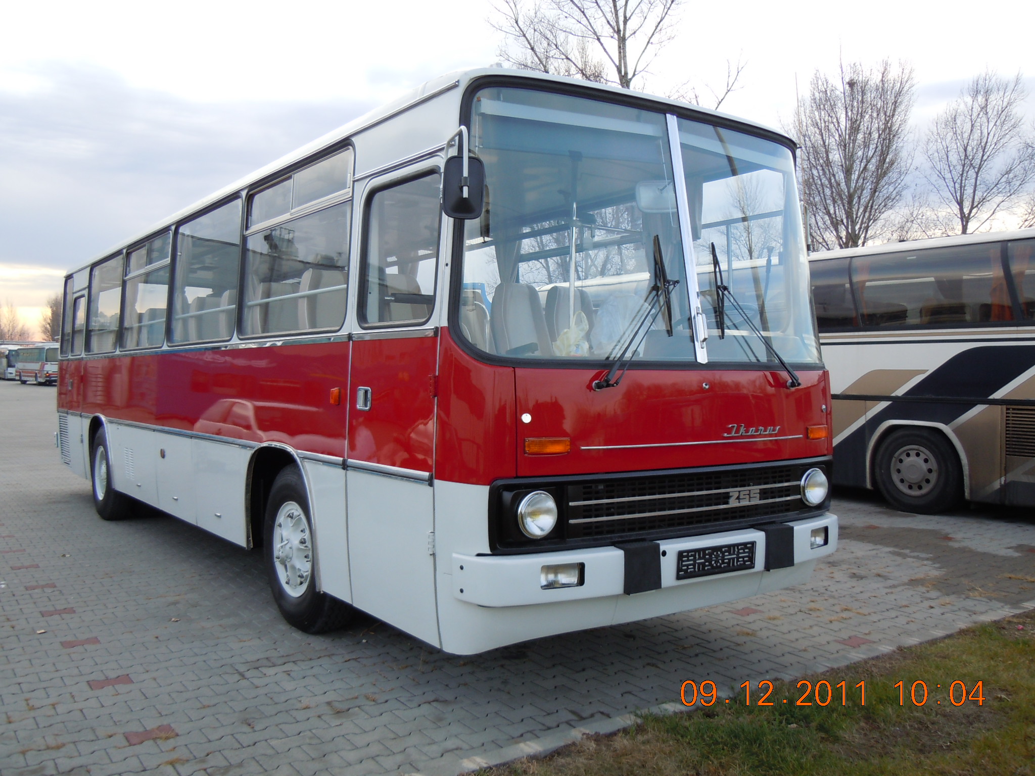 TopWorldAuto >> Photos of Ikarus 255 - photo galleries