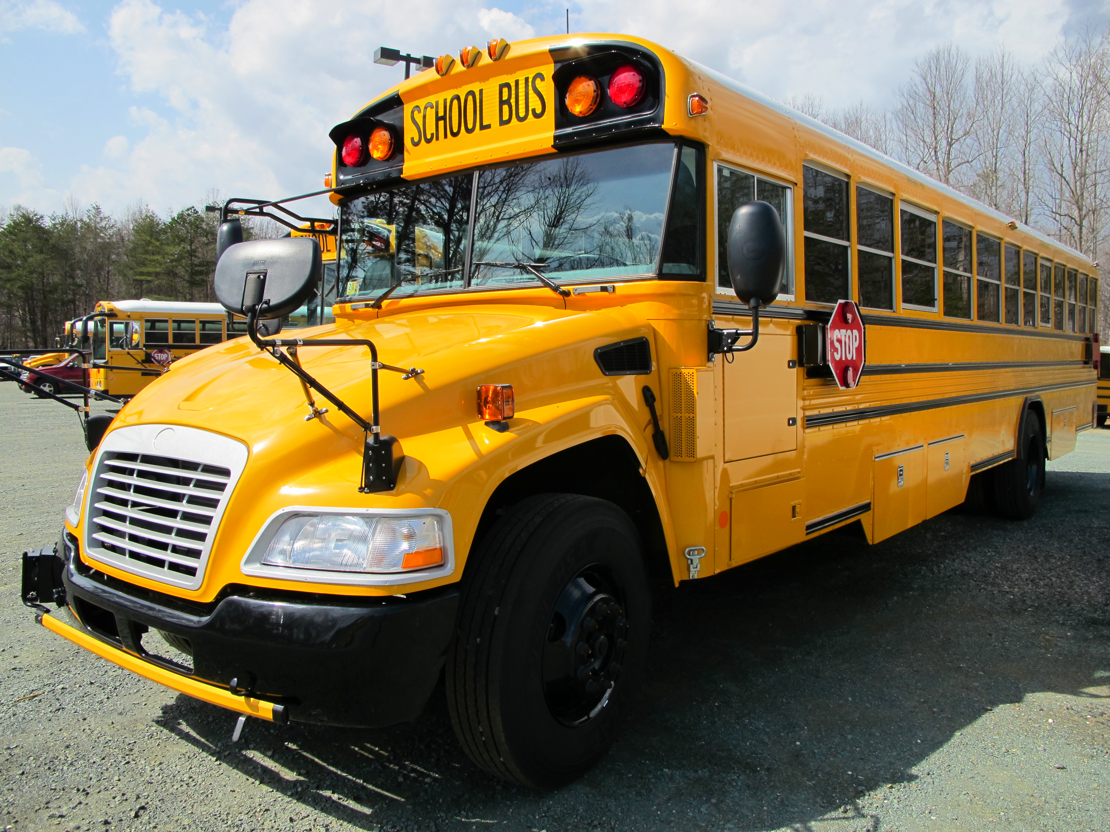 TopWorldAuto >> Photos of Blue Bird School Bus - photo galleries