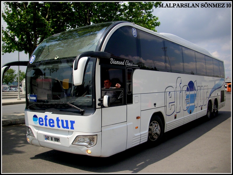 TopWorldAuto >> Photos of TEMSA DIAMOND - photo galleries