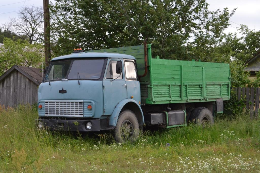 TopWorldAuto >> Photos of MAZ 5335 - photo galleries