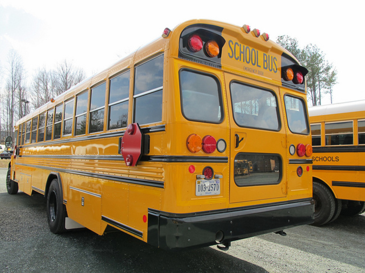 TopWorldAuto >> Photos of Blue Bird School Bus - photo galleries