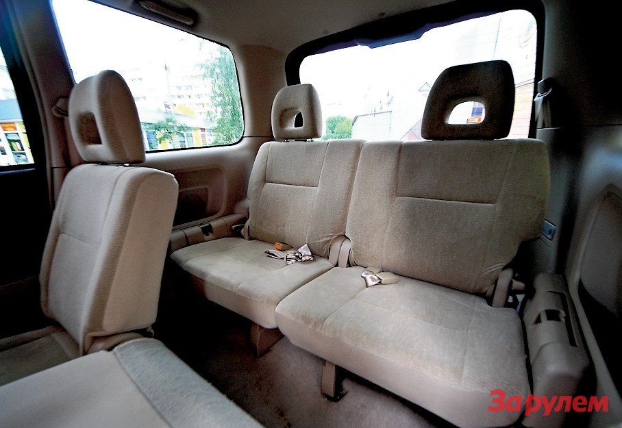 TopWorldAuto >> Photos of Great Wall Cowry - photo galleries