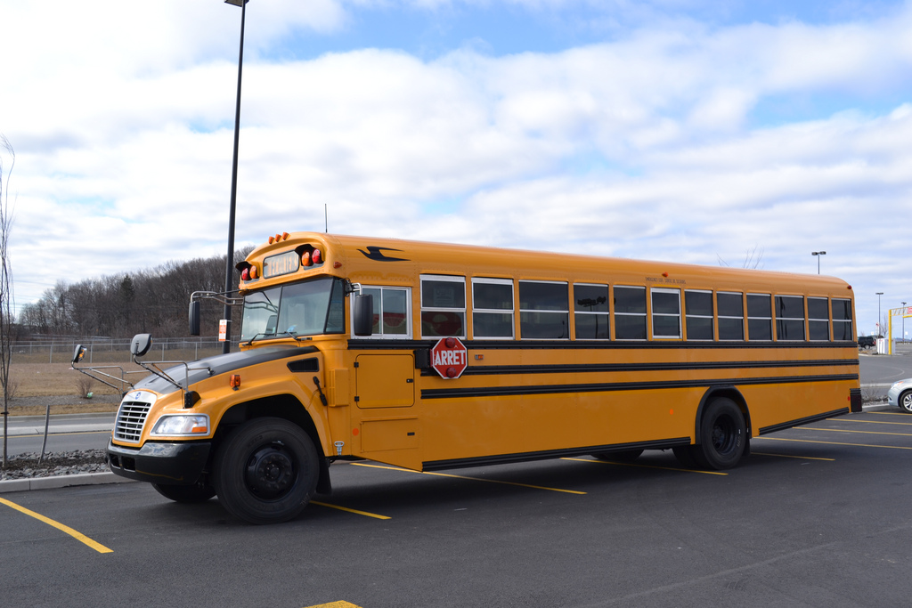 TopWorldAuto >> Photos of Blue Bird Vision - photo galleries