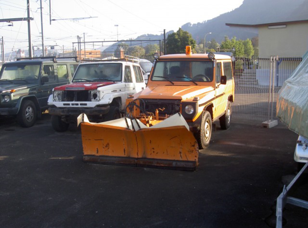 TopWorldAuto >> Photos of PUCH G290 - photo galleries