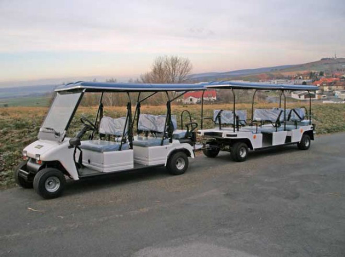 TopWorldAuto >> Photos of Melex 966 - photo galleries