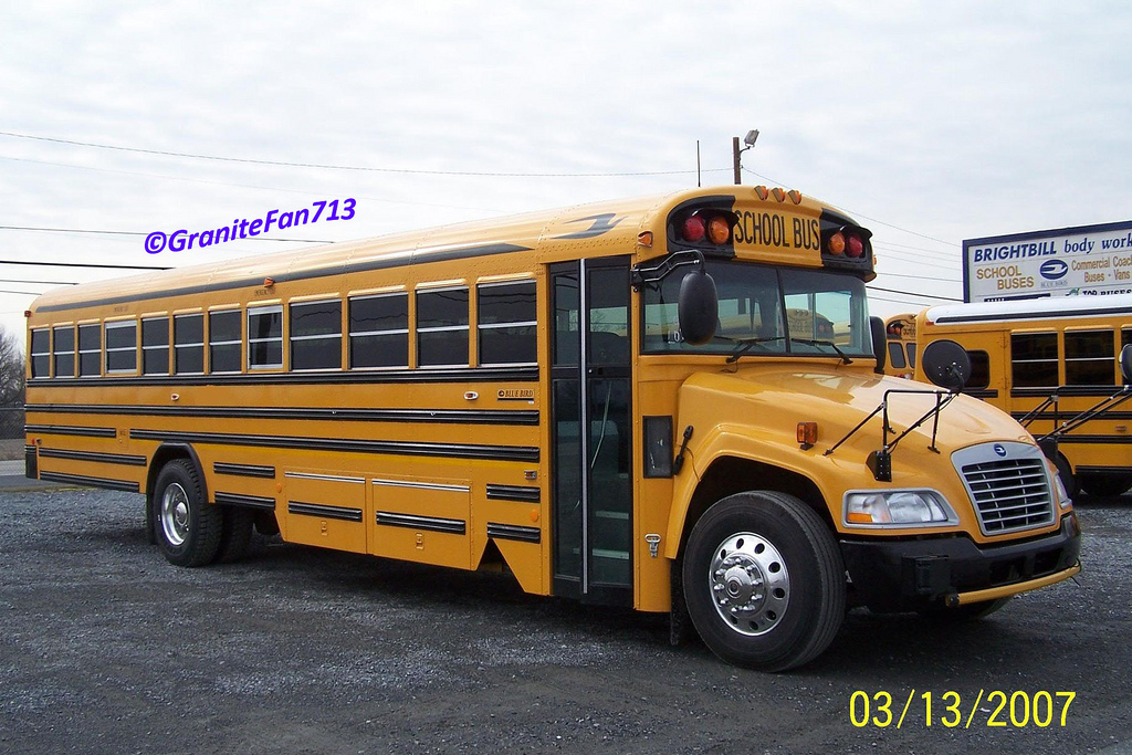 TopWorldAuto >> Photos of Blue Bird Vision - photo galleries