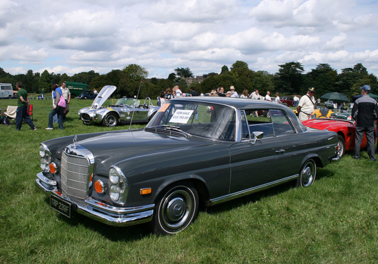 TopWorldAuto >> Photos of Mercedes-Benz 250 SE - photo galleries