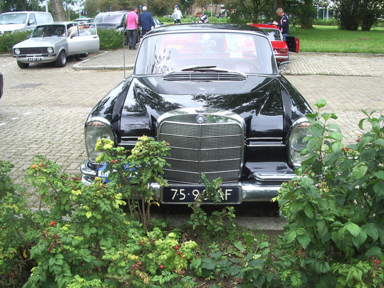 TopWorldAuto >> Photos of Mercedes-Benz 230 S - photo galleries