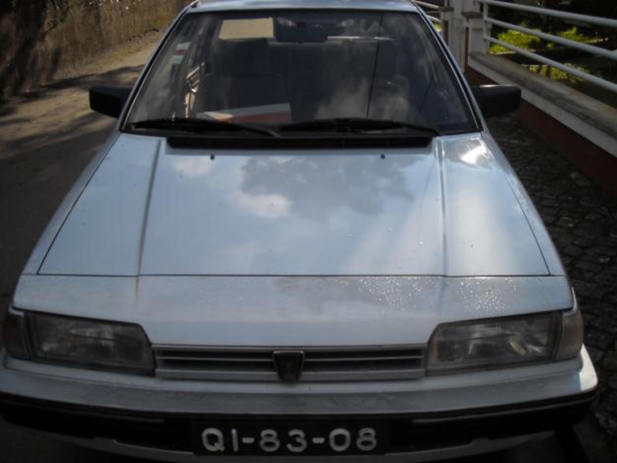 TopWorldAuto >> Photos of Rover 213 SE - photo galleries