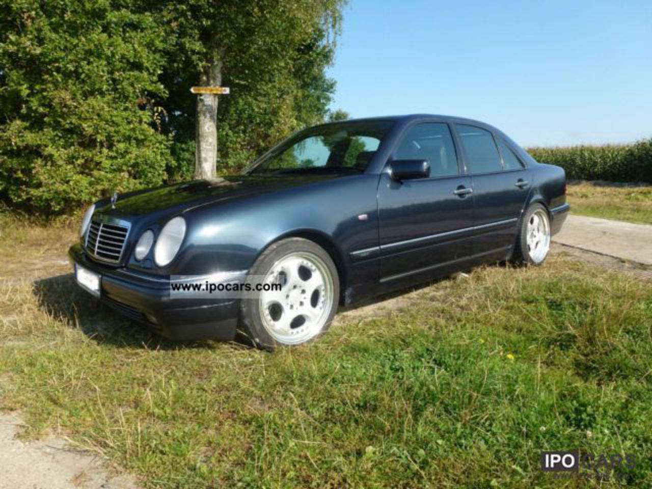 TopWorldAuto >> Photos of Mercedes-Benz E 420 Elegance - photo galleries