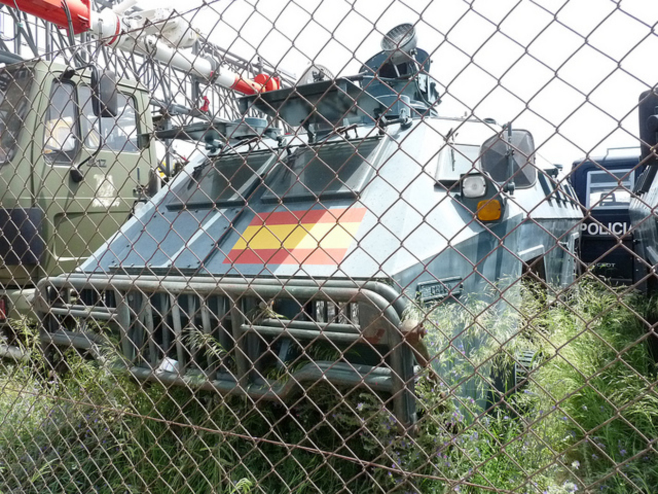 TopWorldAuto >> Photos of Pegaso BLR - photo galleries