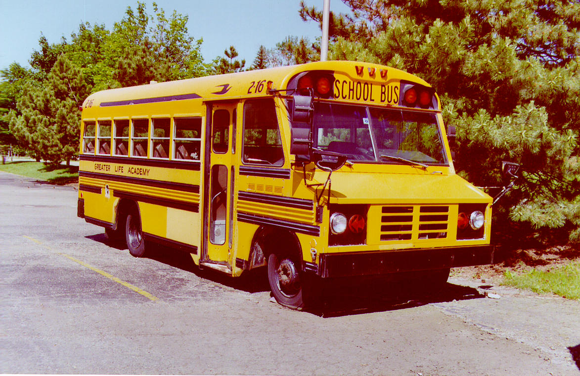 TopWorldAuto >> Photos of Blue Bird Mini Bird - photo galleries