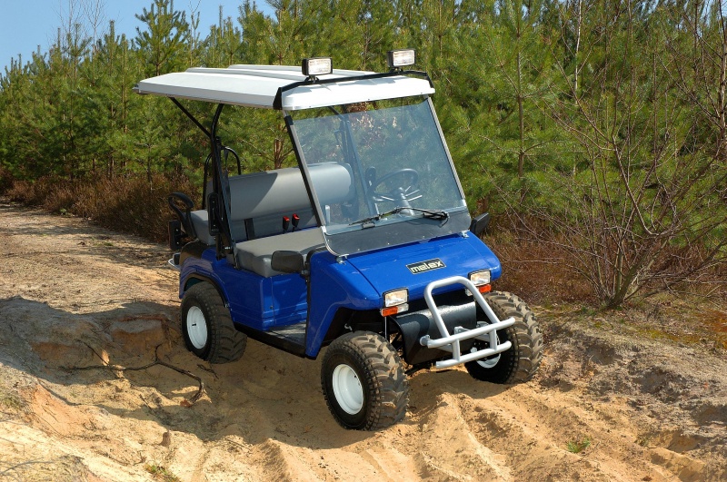 TopWorldAuto >> Photos of Melex 966 - photo galleries