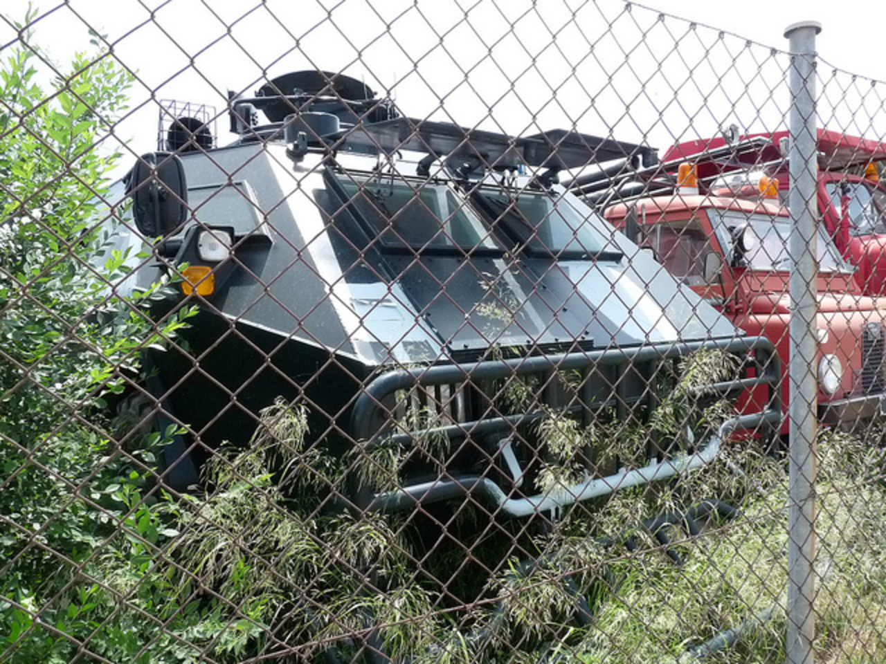 TopWorldAuto >> Photos of Pegaso BLR - photo galleries