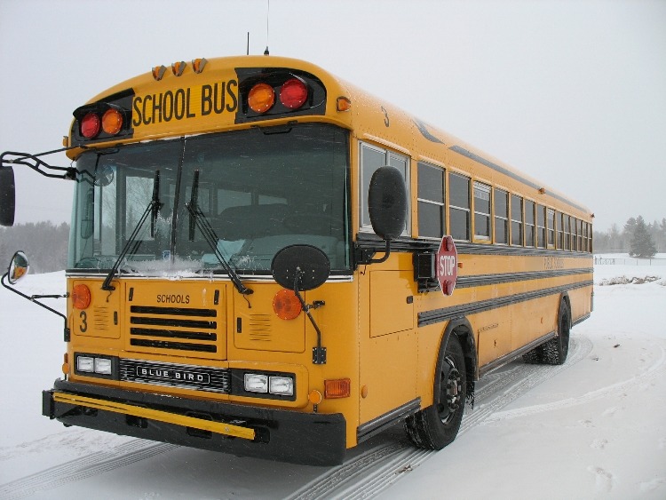 TopWorldAuto >> Photos of Blue Bird All American FE - photo galleries