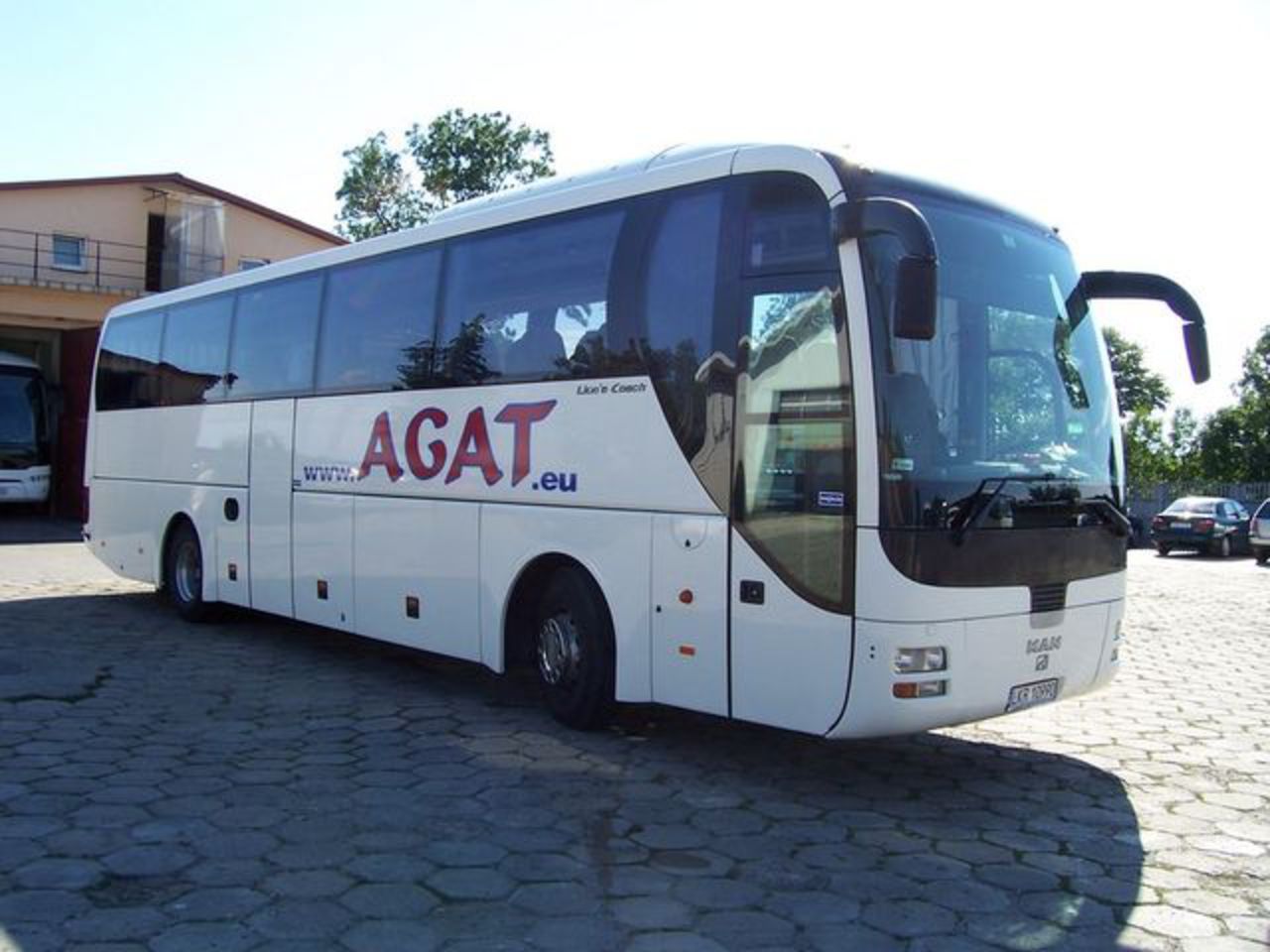 TopWorldAuto >> Photos of MAN Lions Coach - R07 - photo galleries