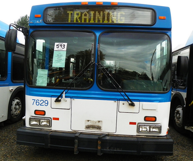 TopWorldAuto >> Photos of New Flyer D30LF - photo galleries