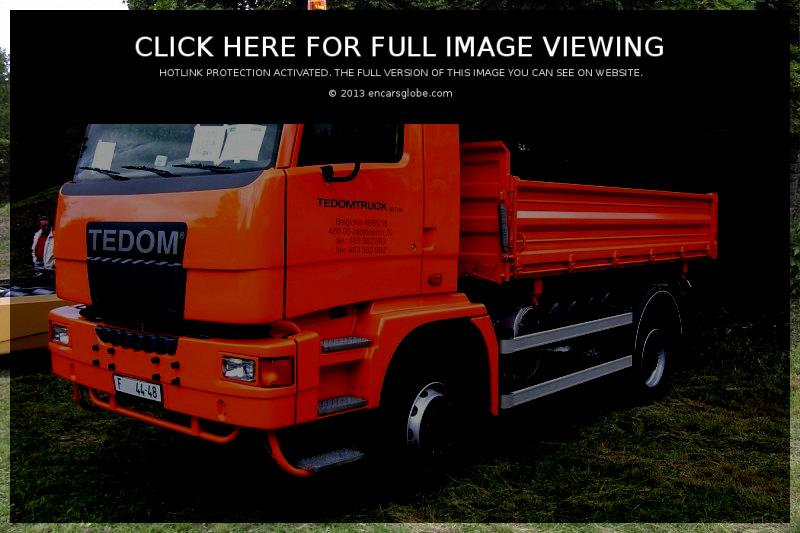 TopWorldAuto >> Photos of Tedom Fox - photo galleries