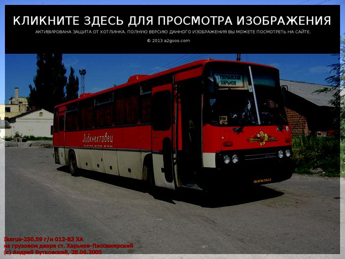 TopWorldAuto >> Photos of Ikarus 250 - photo galleries