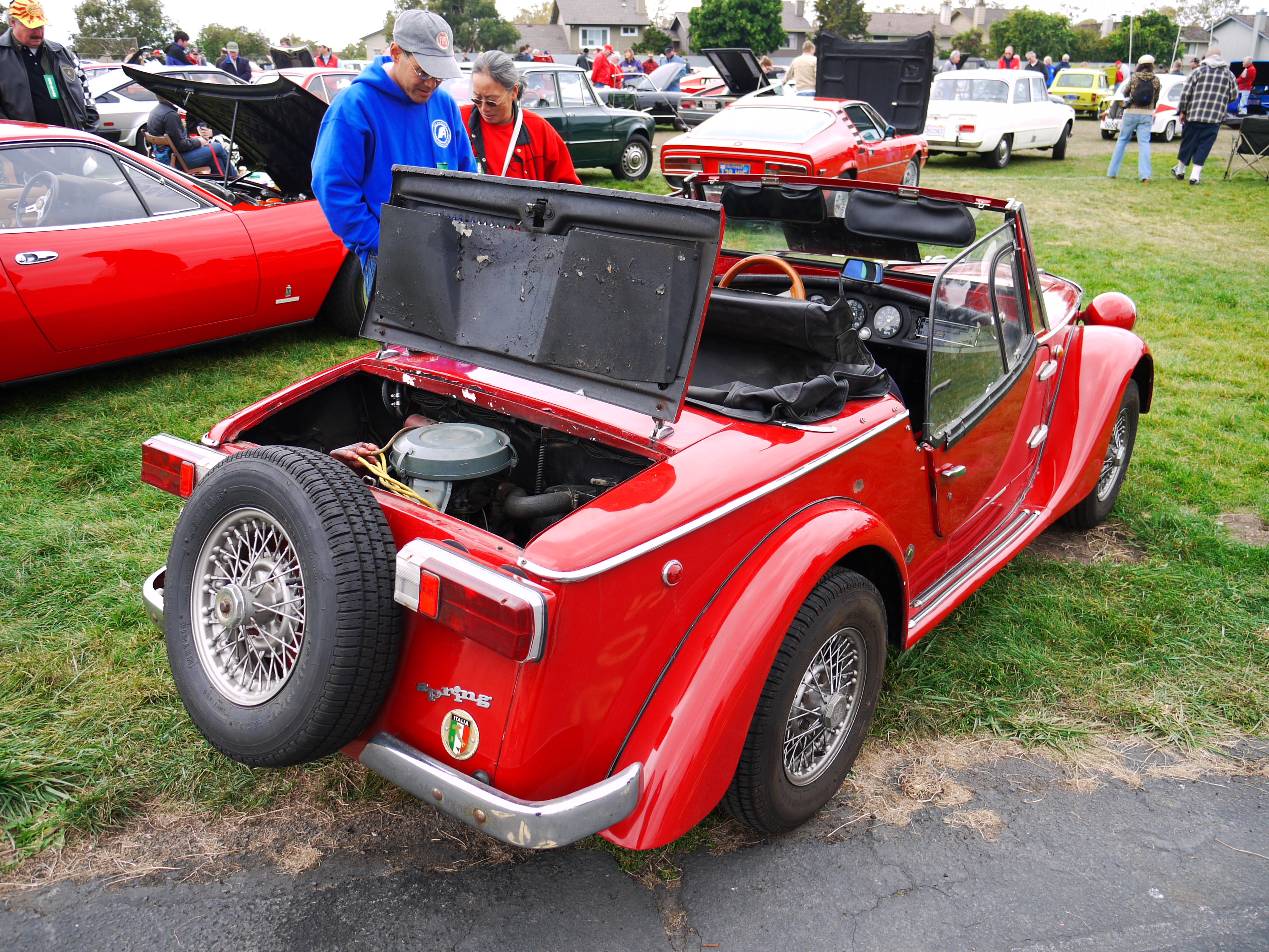 TopWorldAuto >> Photos of Siata Spring - photo galleries