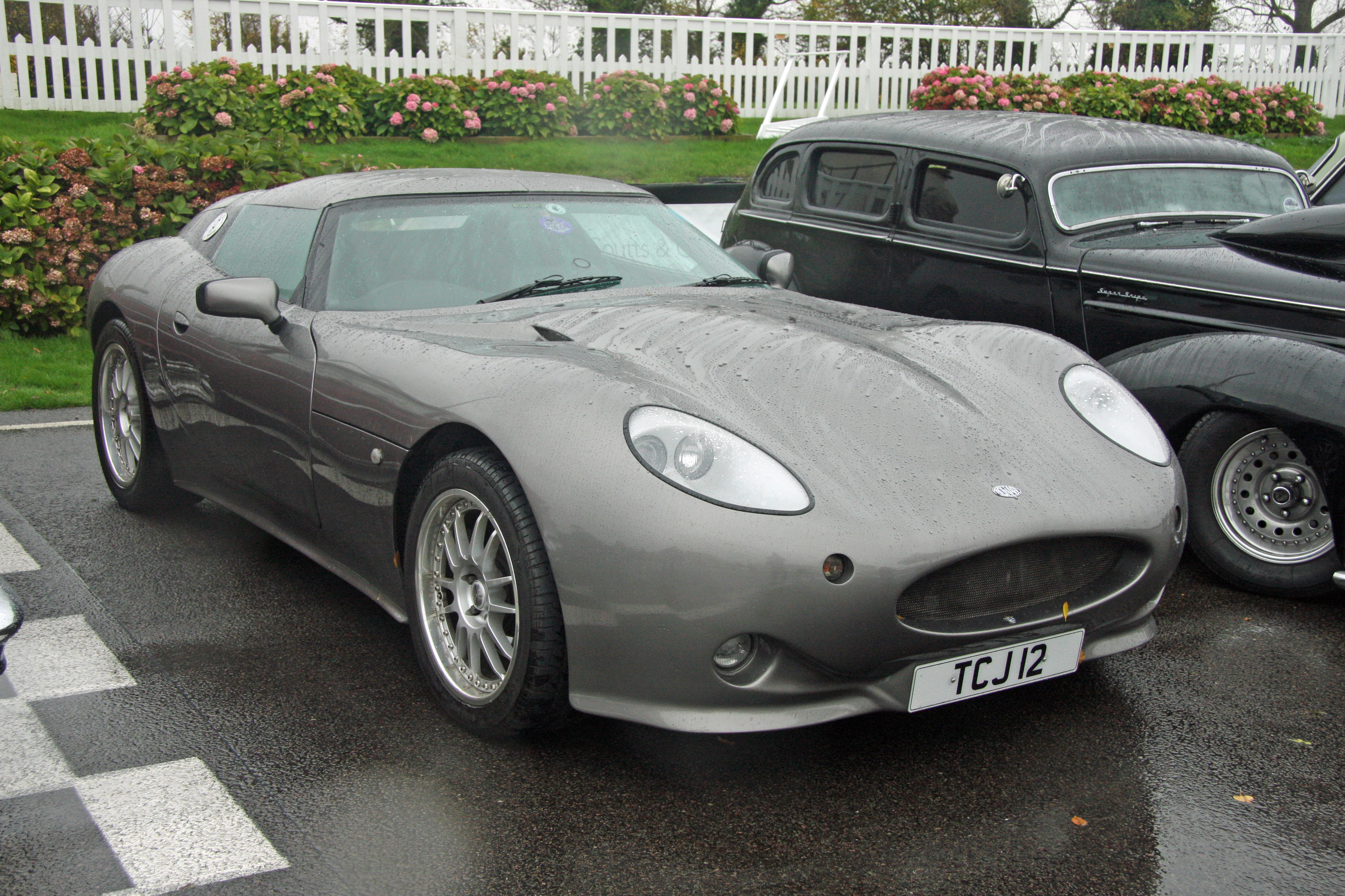 TopWorldAuto >> Photos of Ronart Lightning - photo galleries