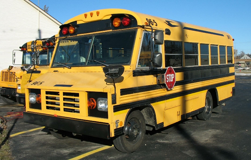 TopWorldAuto >> Photos of Blue Bird Mini Bird - photo galleries