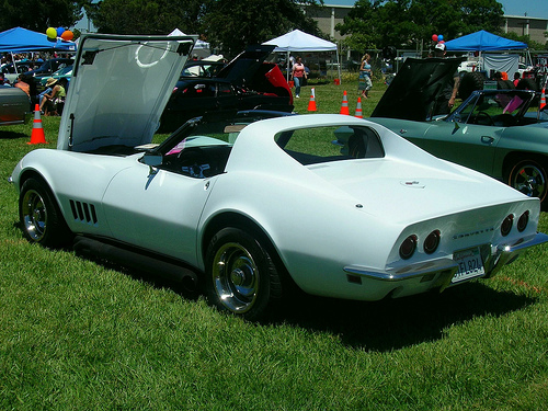 TopWorldAuto >> Photos of Chevrolet Corvette C3 Stingray T-Top - photo ...