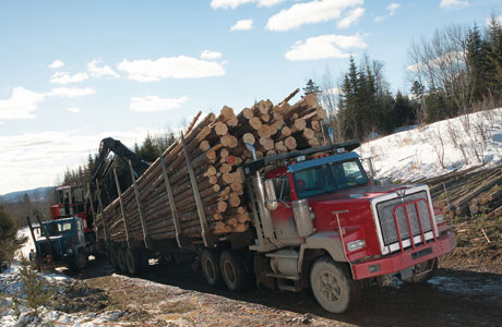 TopWorldAuto >> Photos of Western Star 6900 XD - photo galleries
