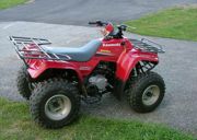 TopWorldAuto >> Photos of Kawasaki klf250 - photo galleries