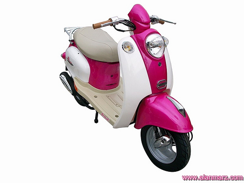 TopWorldAuto >> Photos of Demak rino - photo galleries