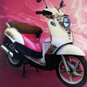 TopWorldAuto >> Photos of Demak rino - photo galleries