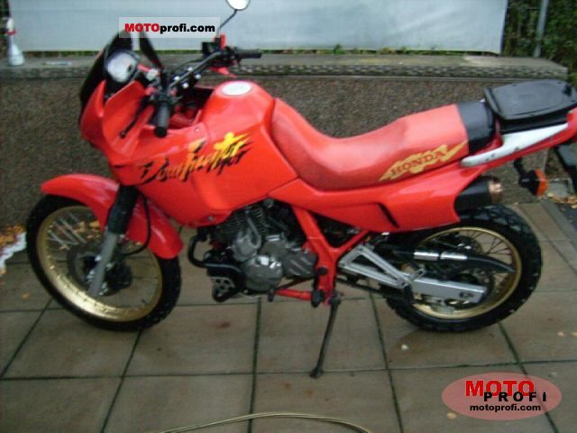 TopWorldAuto >> Photos of Honda dominator - photo galleries