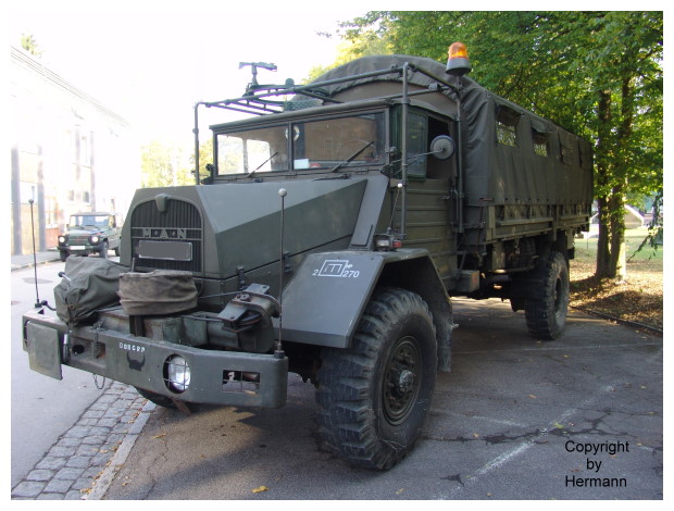 TopWorldAuto >> Photos of Man 630 - photo galleries