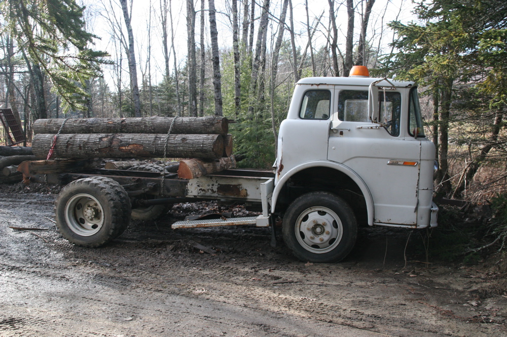 TopWorldAuto >> Photos of Ford C600 - photo galleries