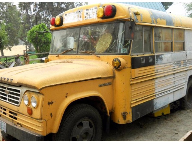 TopWorldAuto >> Photos of Dodge School Bus - photo galleries