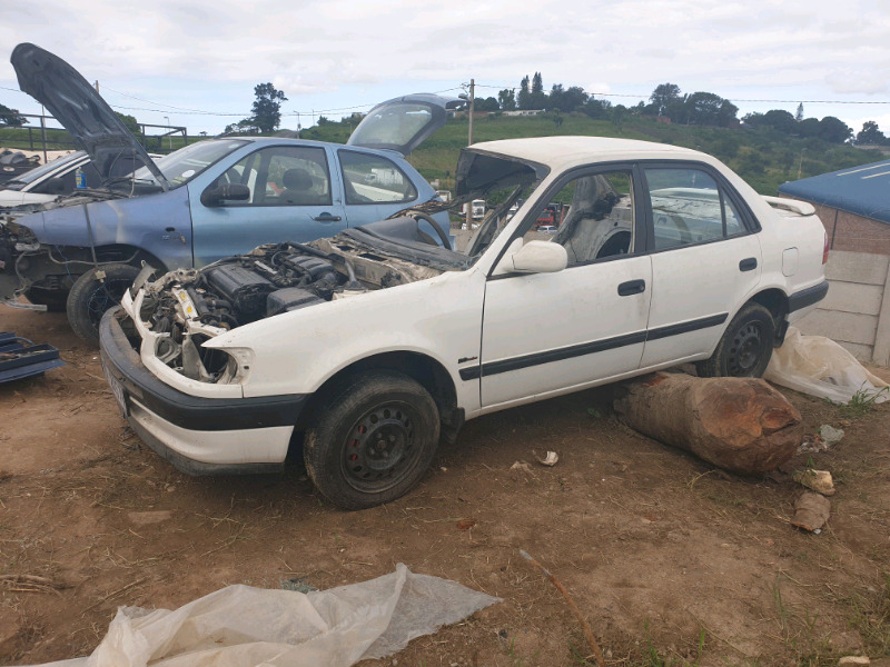 TopWorldAuto >> Photos of Toyota Corolla RSI - photo galleries