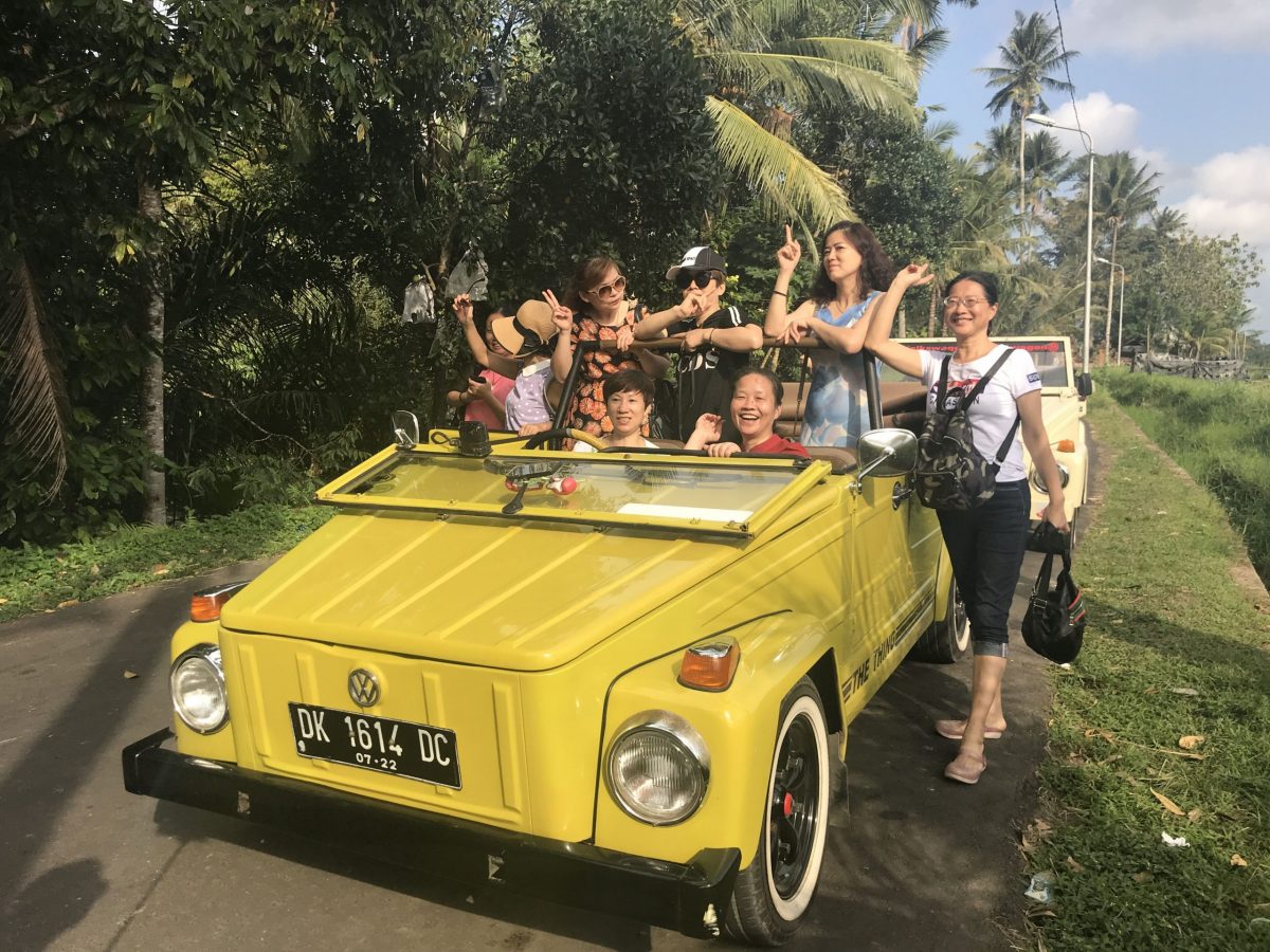 Volkswagen Safari - specs, photos, videos and more on TopWorldAuto